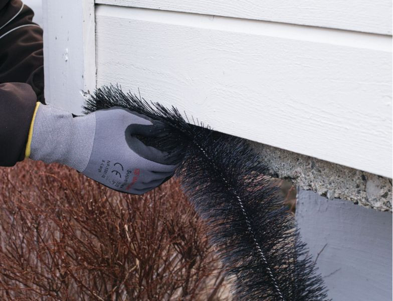 Anti Rodent Brushes | filter-brushes