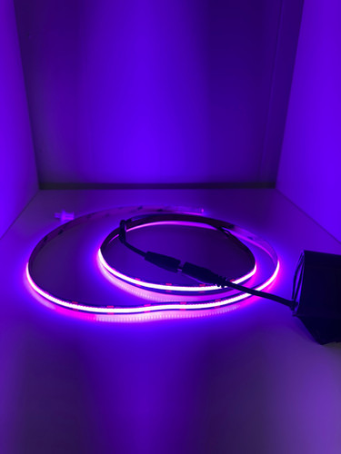 Glow Ride Black Label Plasma Bicycle Wheel Lights | Cc Led