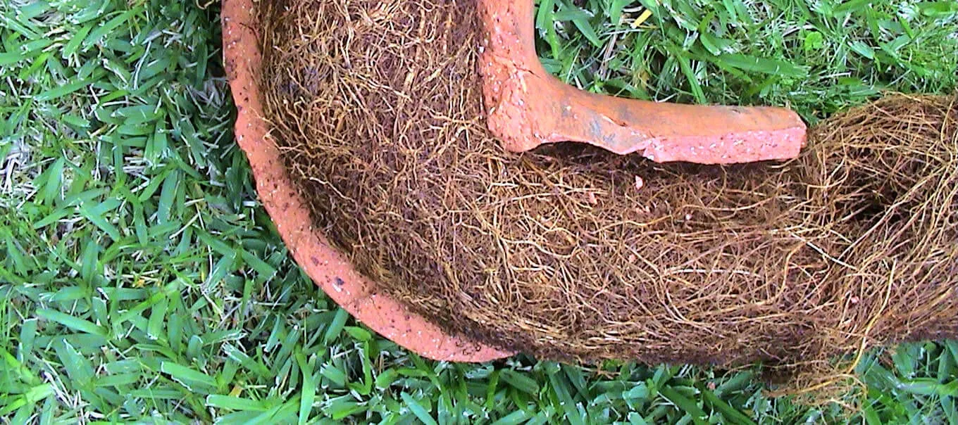 Action Drain & Plumbing | Sewer Repair | Spokane County