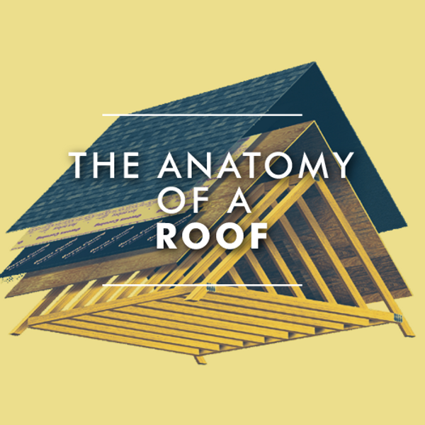 The Anatomy of a Residential Roof