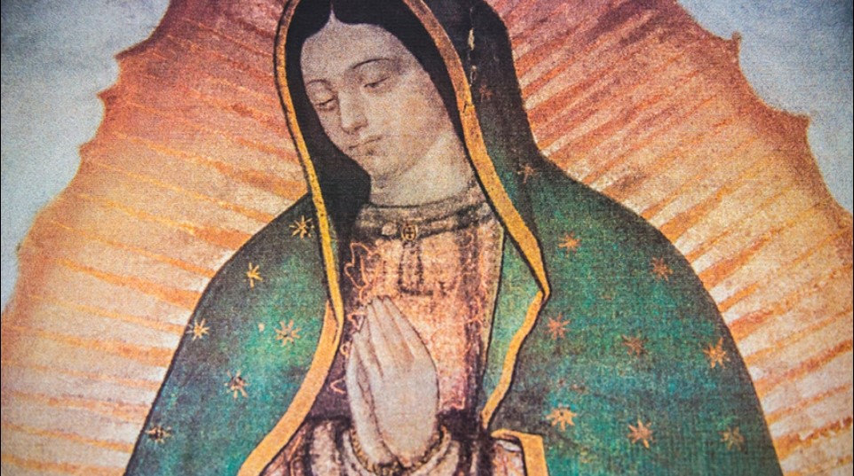 Herencia Hispanahttps://static.wixstatic.com/media/ddf248_0a13dcab76b7455db018458623f4e406~mv2 ...