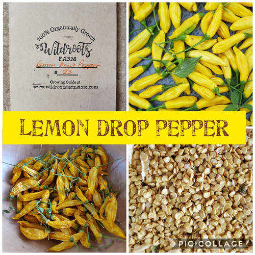 Pepper - Lemon Drop Pepper Seeds | Wildroots Farm Store