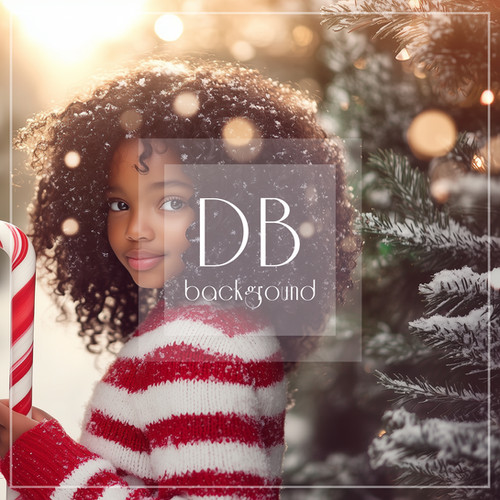 Evergreen Path | Pine Trees | Amanda Colgan