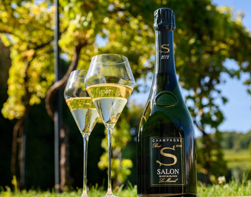 Salon collection | Real Life Hotel