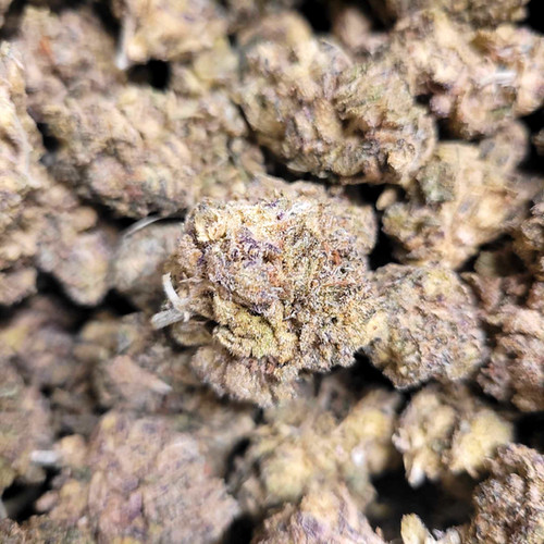 Purple Haze | Central Leaf