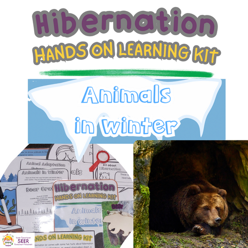 Hibernation - Hands On Learning Kit | Shoals Educational E