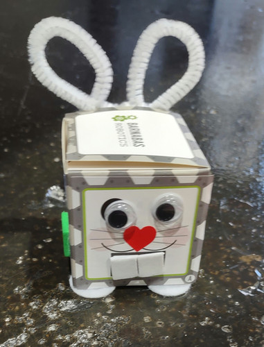 Bunny bot | Shoals Educational E