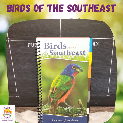 Birds of the Southeast | Shoals Educational E
