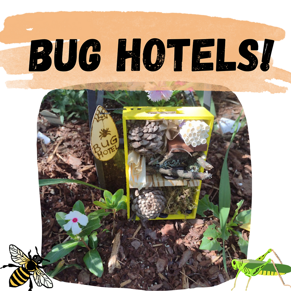 SEER Bug Hotel Kit | Shoals Educational E