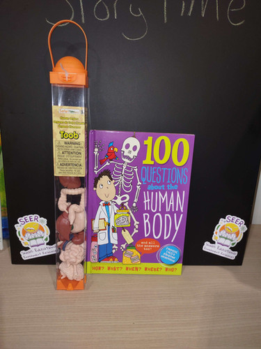 Human Body set - Includes a Human Organs Toob and book | Shoals ...