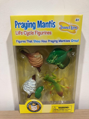 Life Cycle of a Praying Mantiss | Shoals Educational E