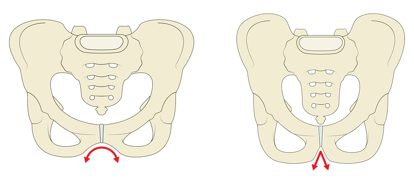 Differences Between Women and Men | My Site