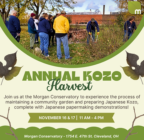 Papermaking | Morgan Conservatory | 1754 East 47th Street - Cleveland ...