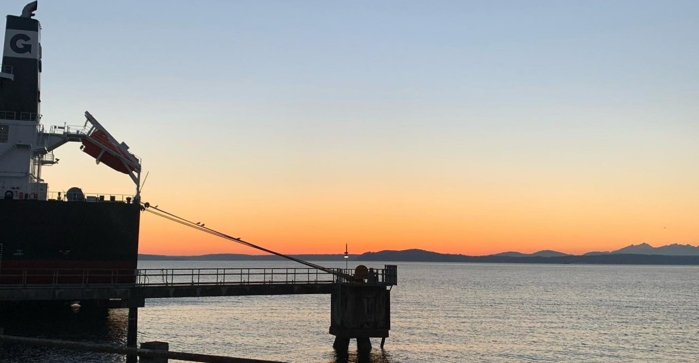 A Day in the Life of a Ship Visitor