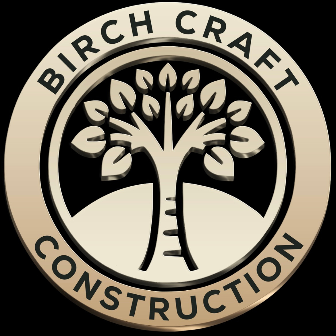 Birch Craft Construction | Ann Arbor Siding, Framing & Contractor Services
