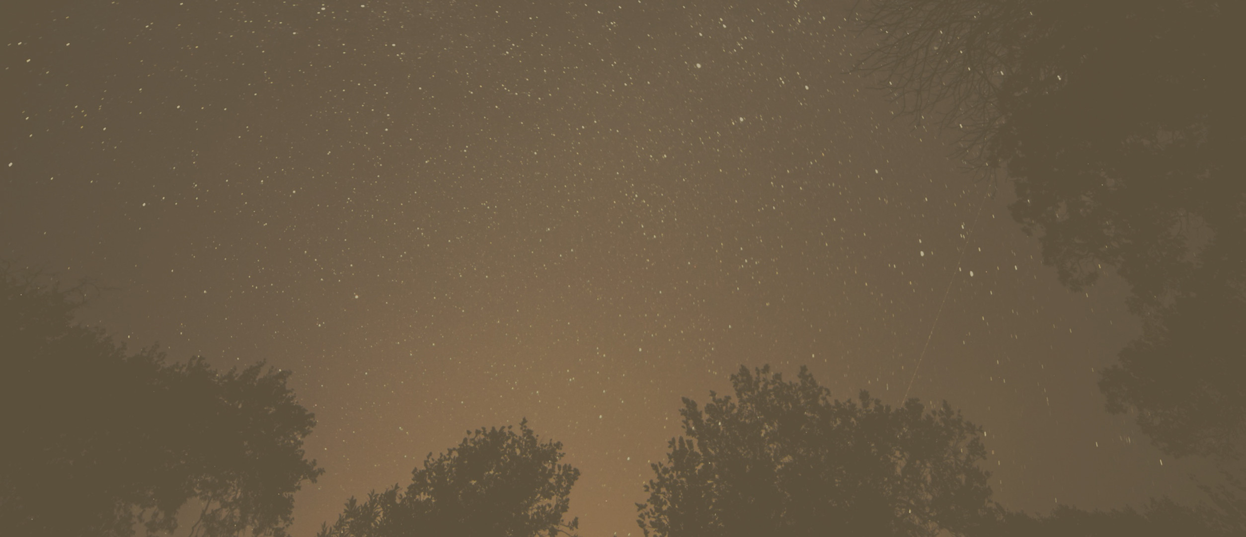 How to Reduce Light Pollution and Protect the Night Sky