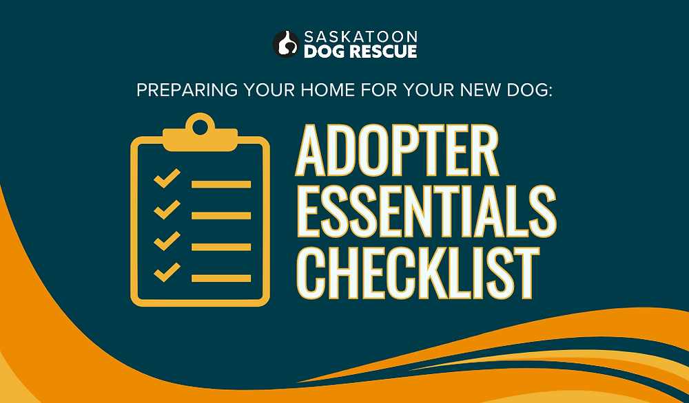 Preparing Your Home for Your New Dog: Essentials Checklist