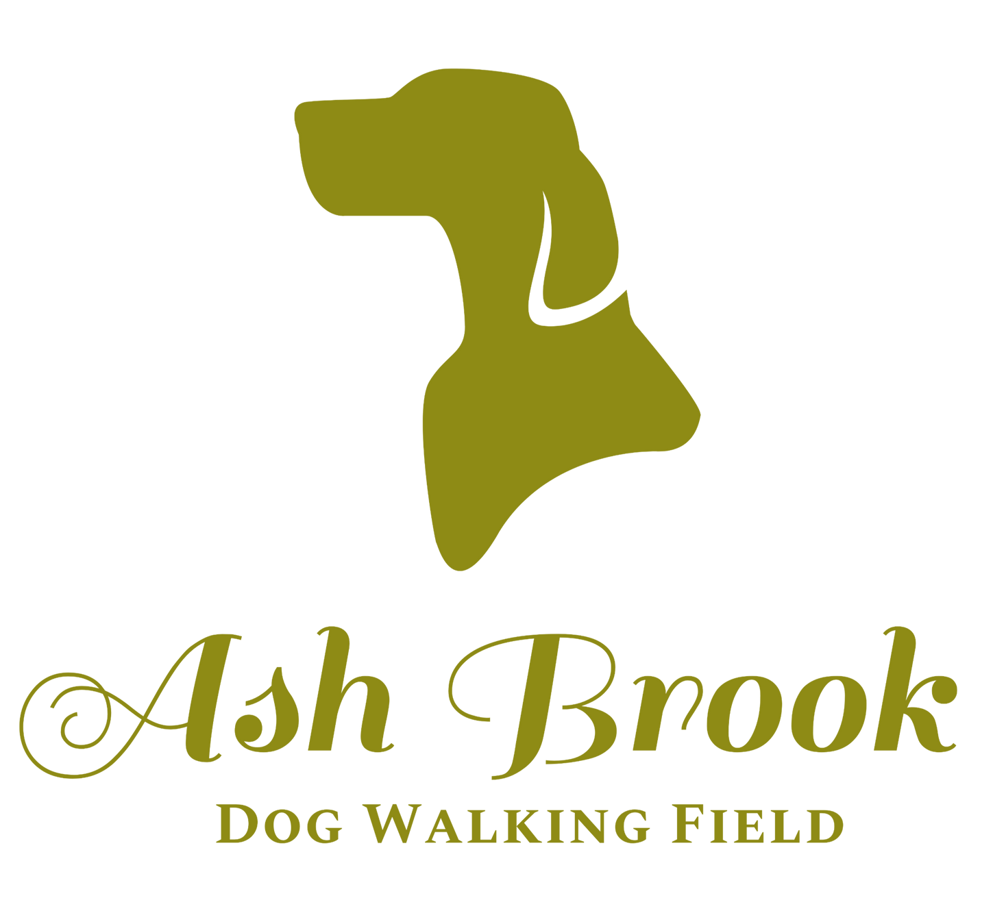 Gallery | Ash Brook Dog Field