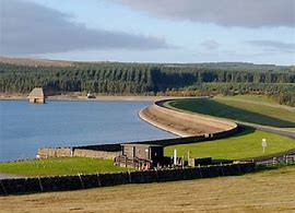 KIELDER ACTIVITIES | Kielder Cottage