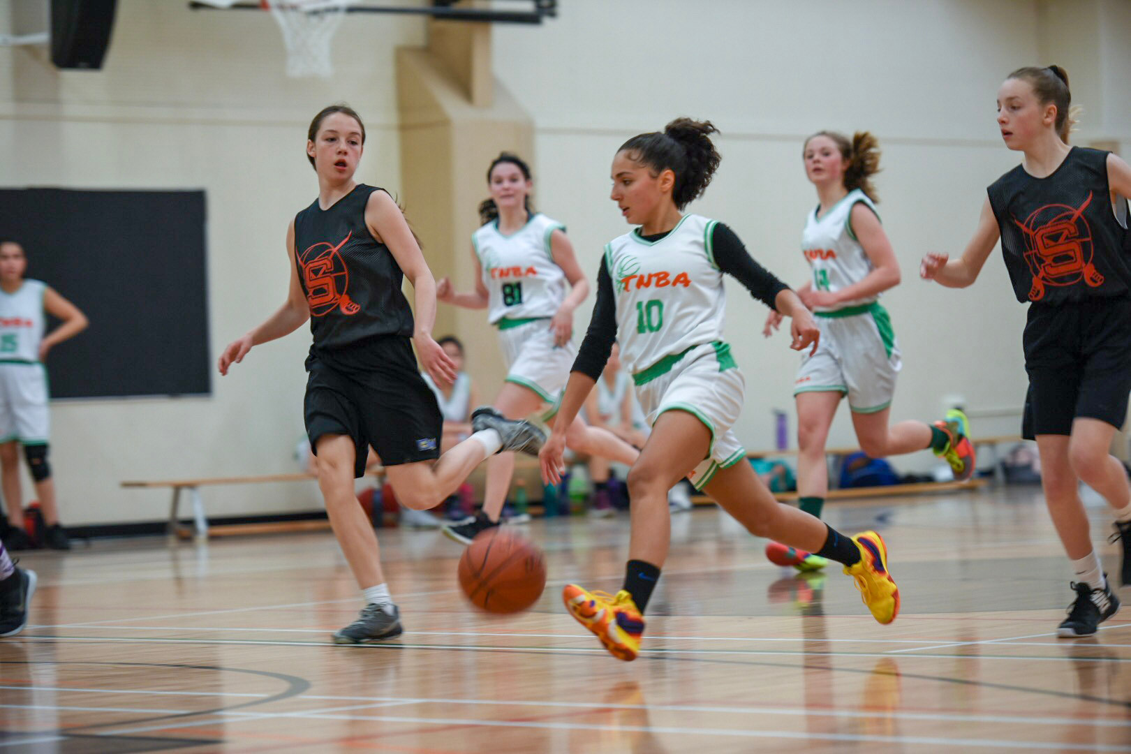 TNBA Team Tryout | Tnba