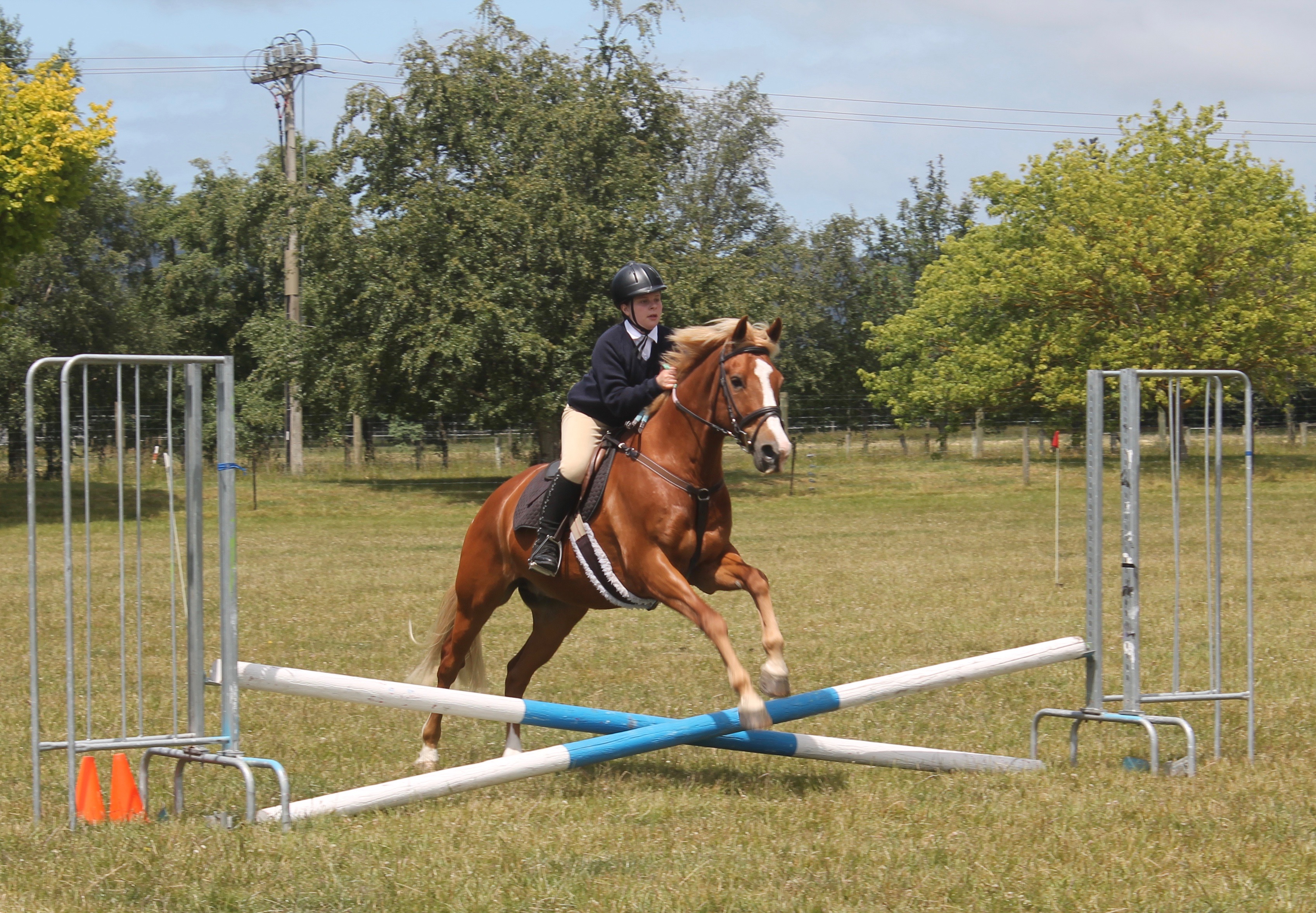 RDA Dunedin | Welcome