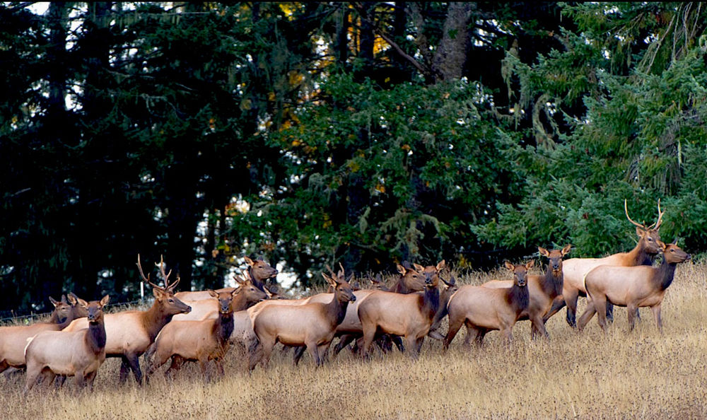 Enjoy Incredible Haystack Hill State Park Views