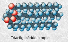 Triagliceroles | Unidad didáctica