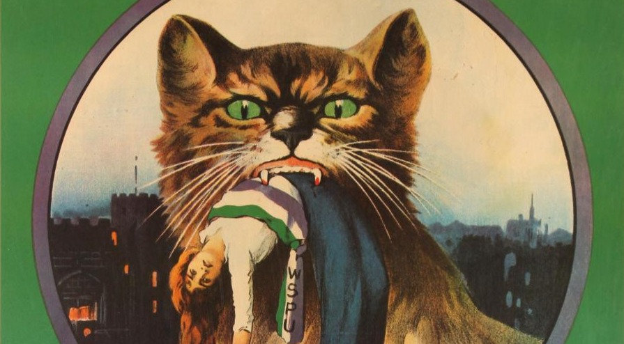 Suffragettes and Cats