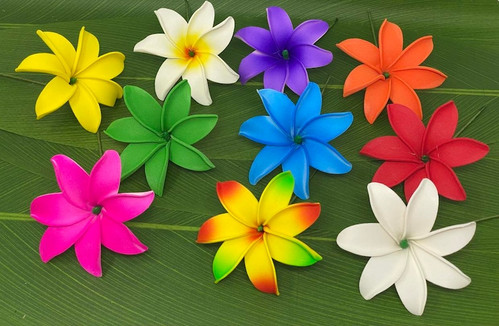 Hawaiian Tiare Flower | Tiare 'O Patitifa