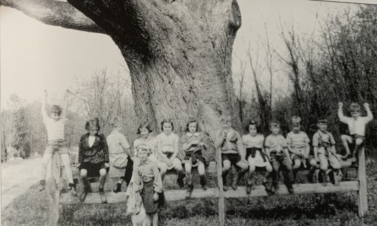 Long Island's Big Trees: The Long Island Horticultural Society "Big ...