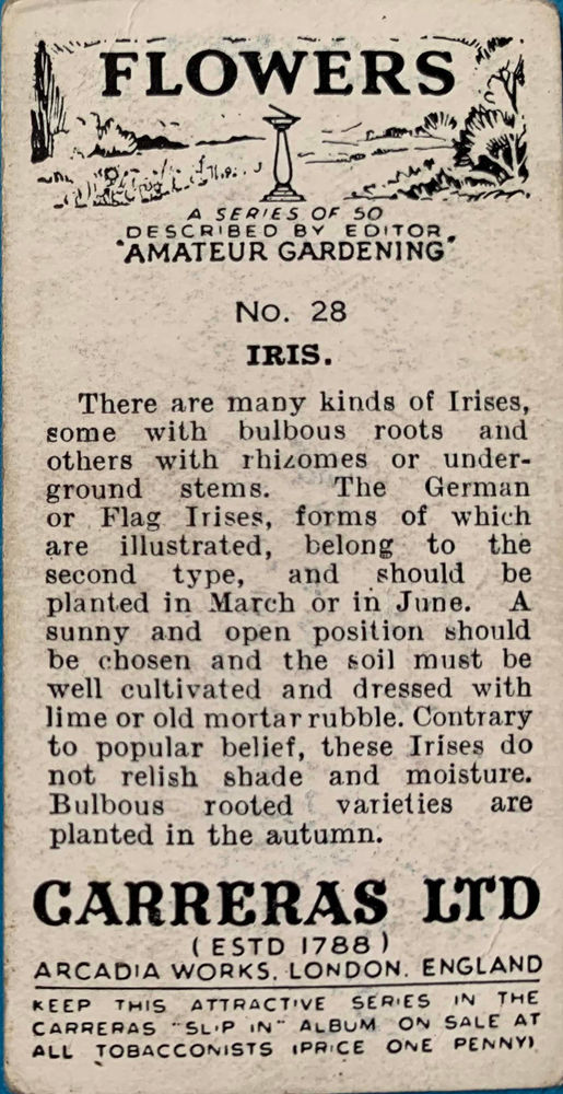 Ephemera...What is ephemera?