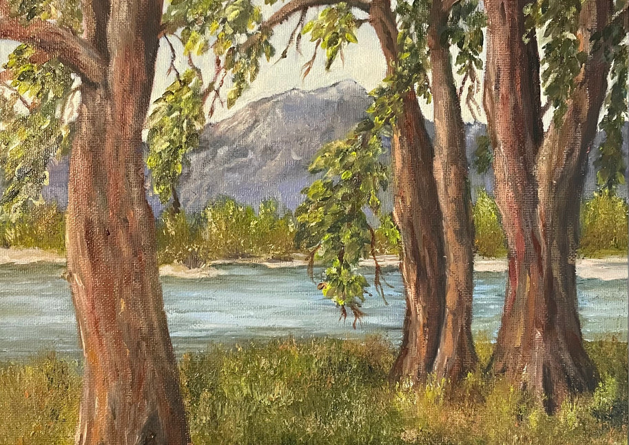 Dorothy Gail Studio | original artwork