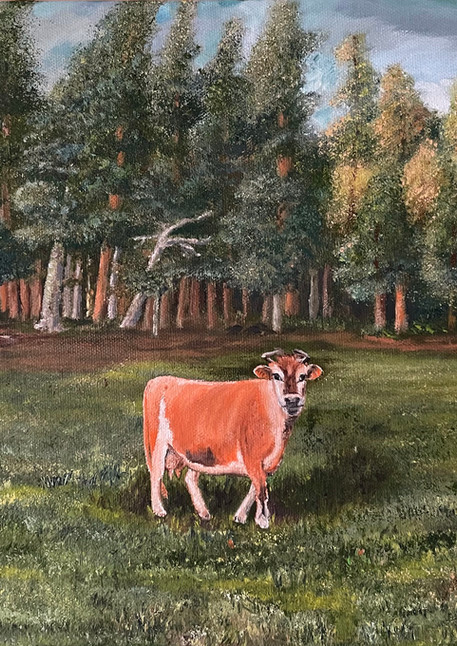 Home | DorothyGailStudio