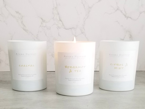 9 oz Soy Candle Set | Pick 3 | Charleston