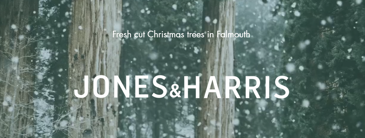 Christmas Trees | Jones & Harris | Bishops Castle