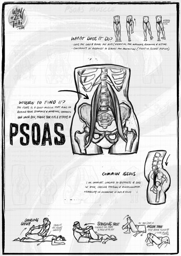 Psoas - Poster | The Why of Zenthai