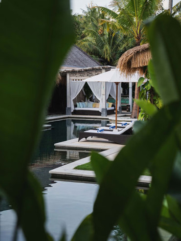 HOME | Rascals site 2022