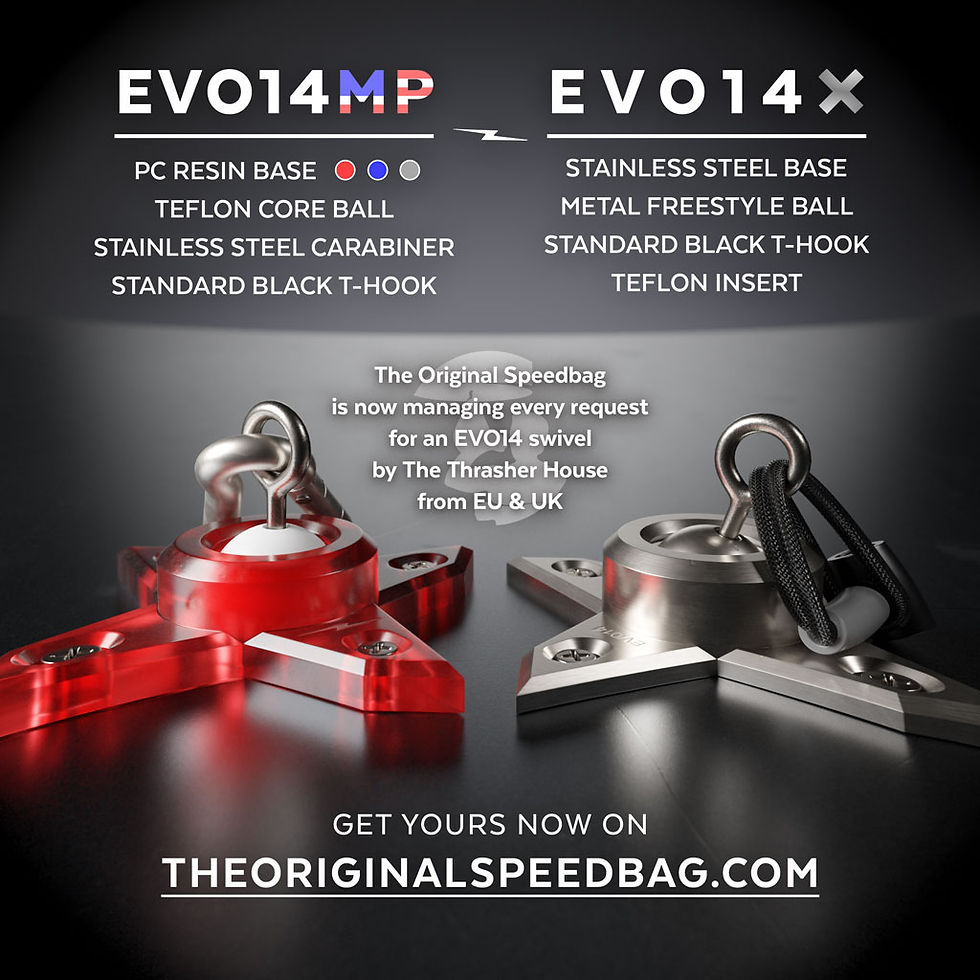 The Original Speedbag | The Thrasher House