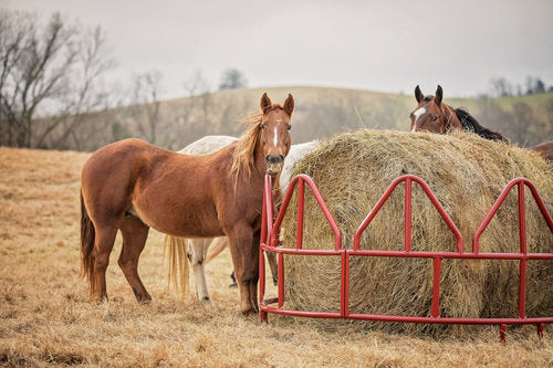 Understanding the Thoracic Sling