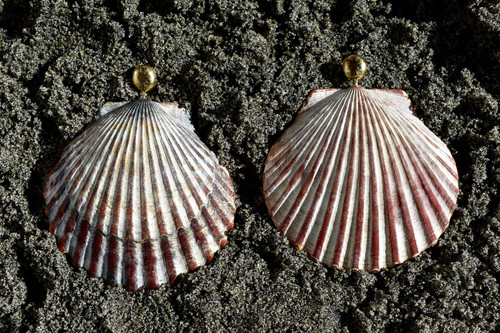 Aphrodite | The Atlantic Line