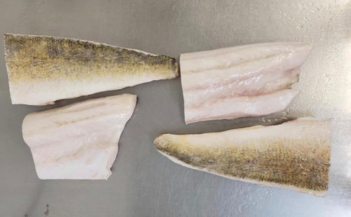 Medium-Sized Skin-On Frozen Walleye Fillets - 3 lb. Package | Fresh ...