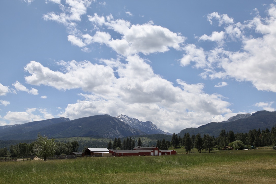 HOME | Double K Ranch Mt