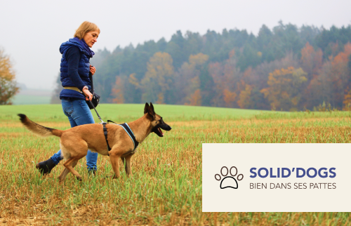 Bienvenue chez Solid'dogs