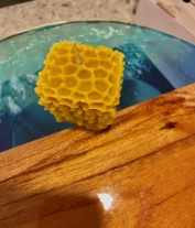 Sponge | Caribbean Craft