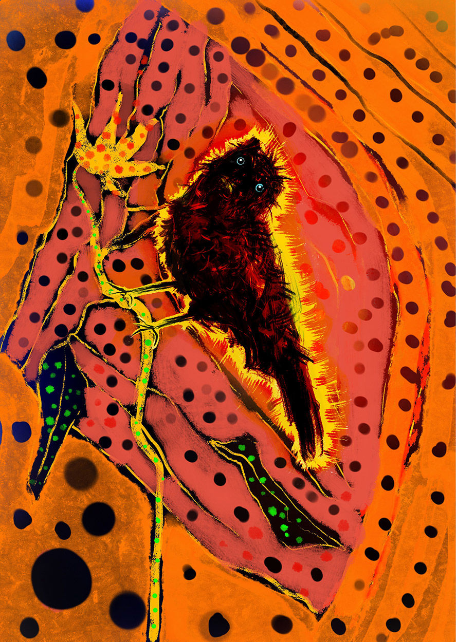 blog | Tony Donnelly