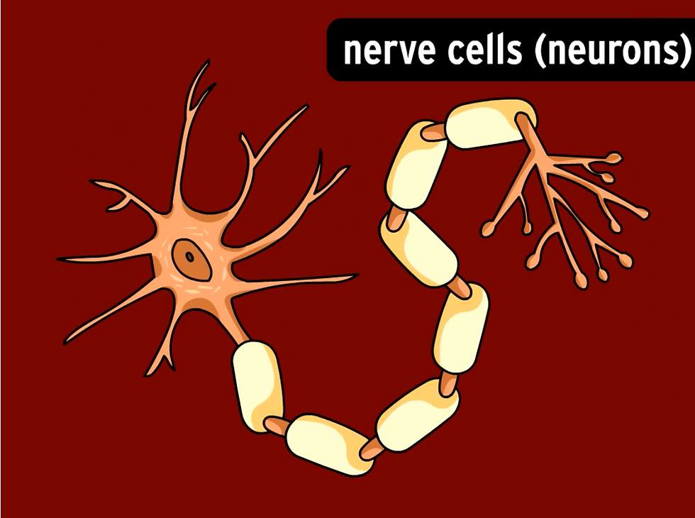 Life Science | BrainPOP Science