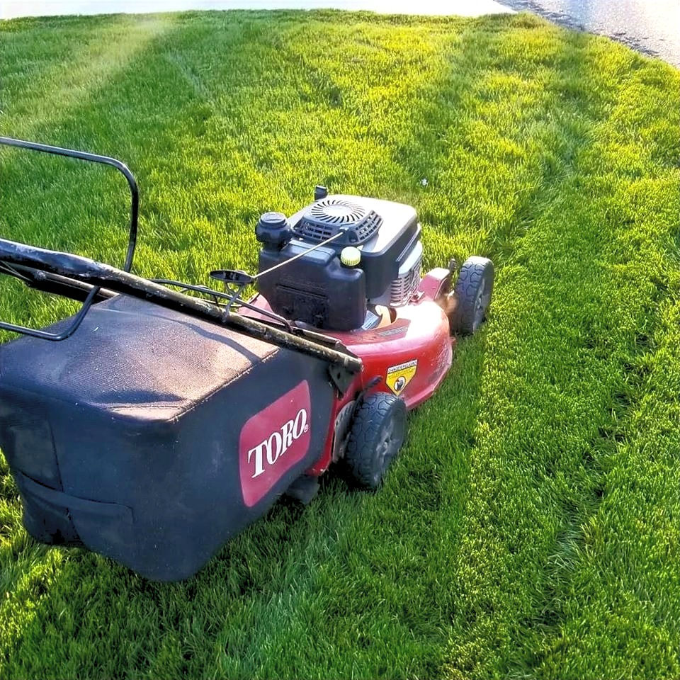 So, what is Mow Life?