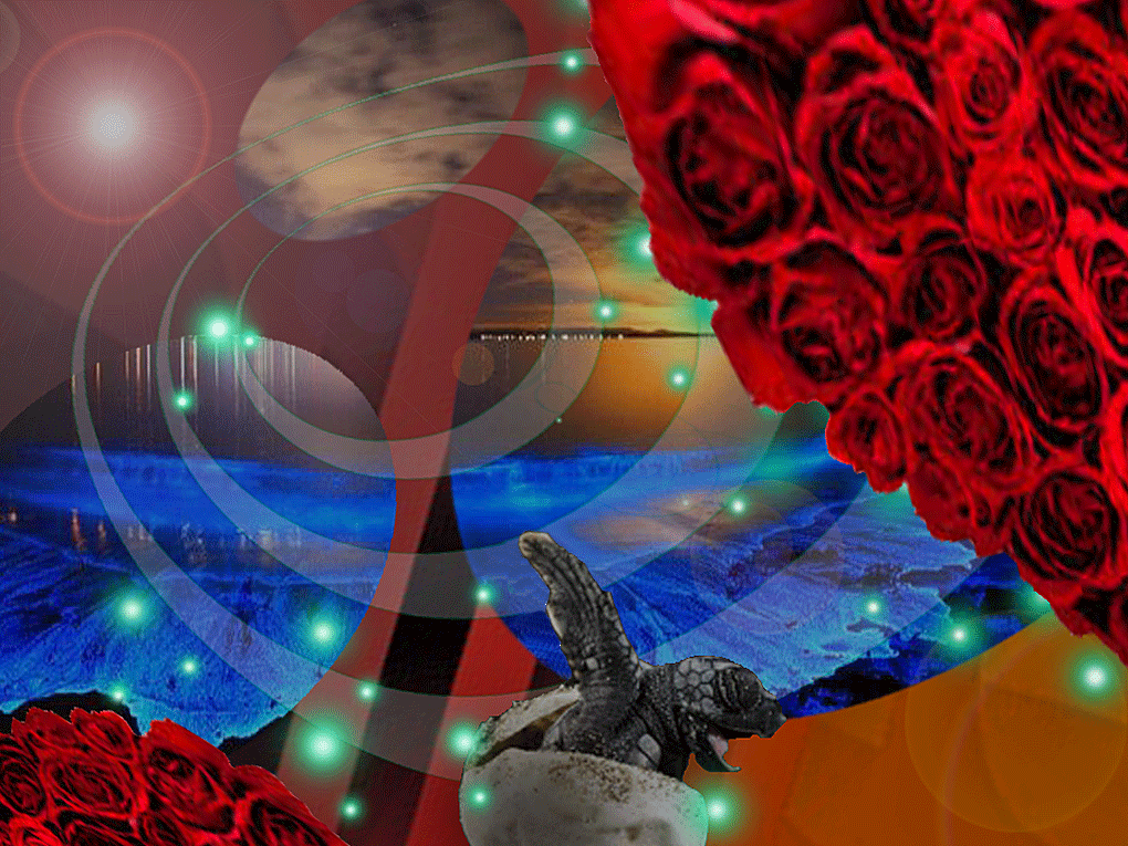 Cloud Ten Design | Eye Candy