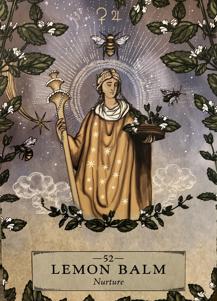 Honoring the Spirit of Lemon Balm