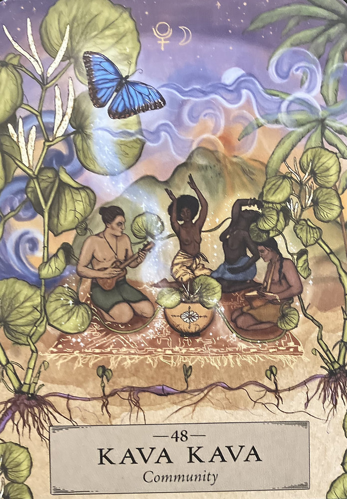 KAVA KAVA: the Community Builder